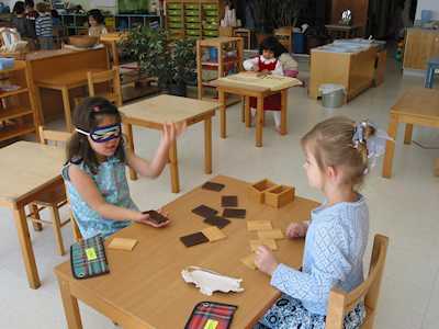 AMI Canada - Program Overview